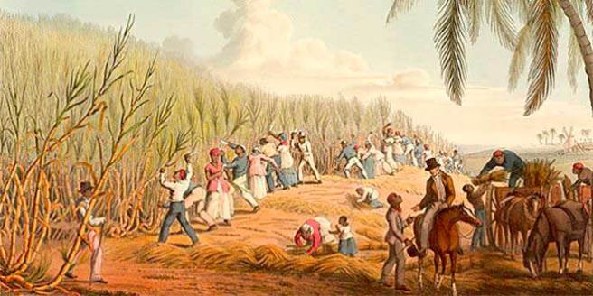 5 momentos claves de la historia del aguardiente de caña en el Perú ...